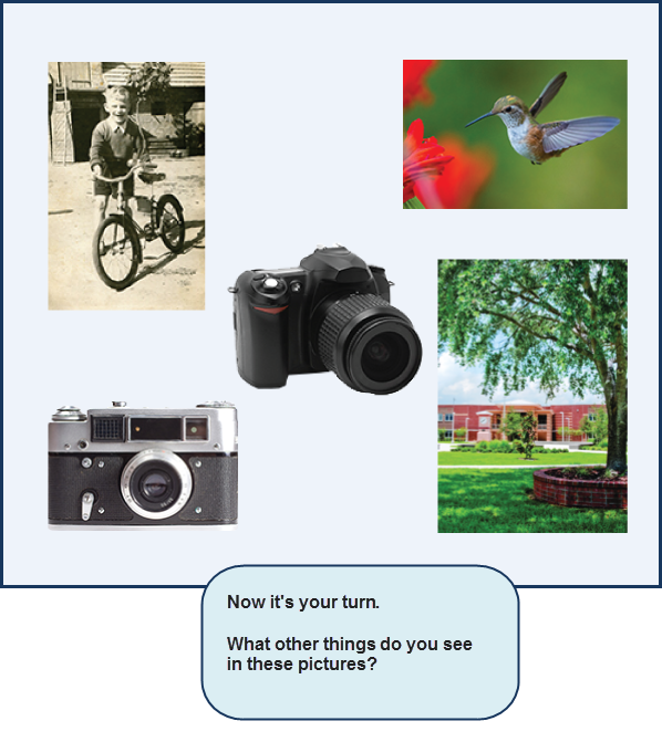 P1 Technology in Cameras